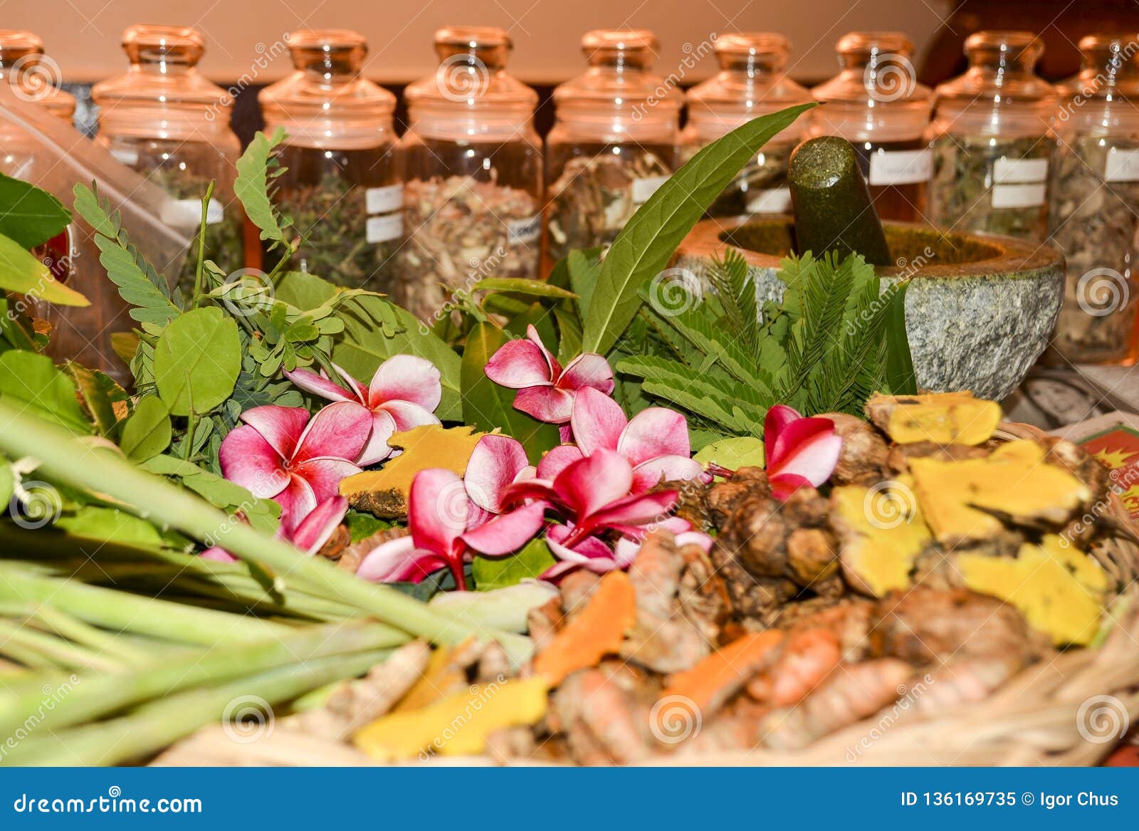 Ayurveda Herbs and Roots for Treatment 2019 Stock Image - Image of asia ...