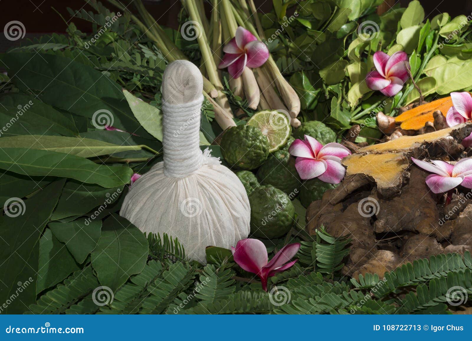 Ayurveda Herbs and Roots for Treatment 2018 Stock Image - Image of ...