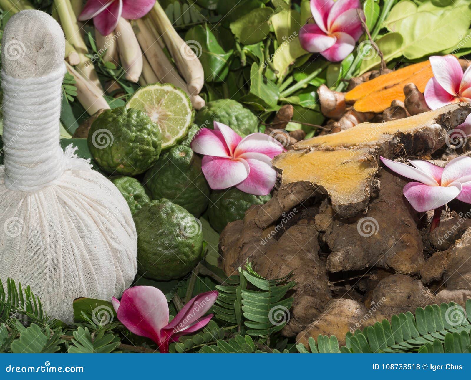 Ayurveda Herbs and Roots for Treatment 2018 Stock Photo - Image of ...