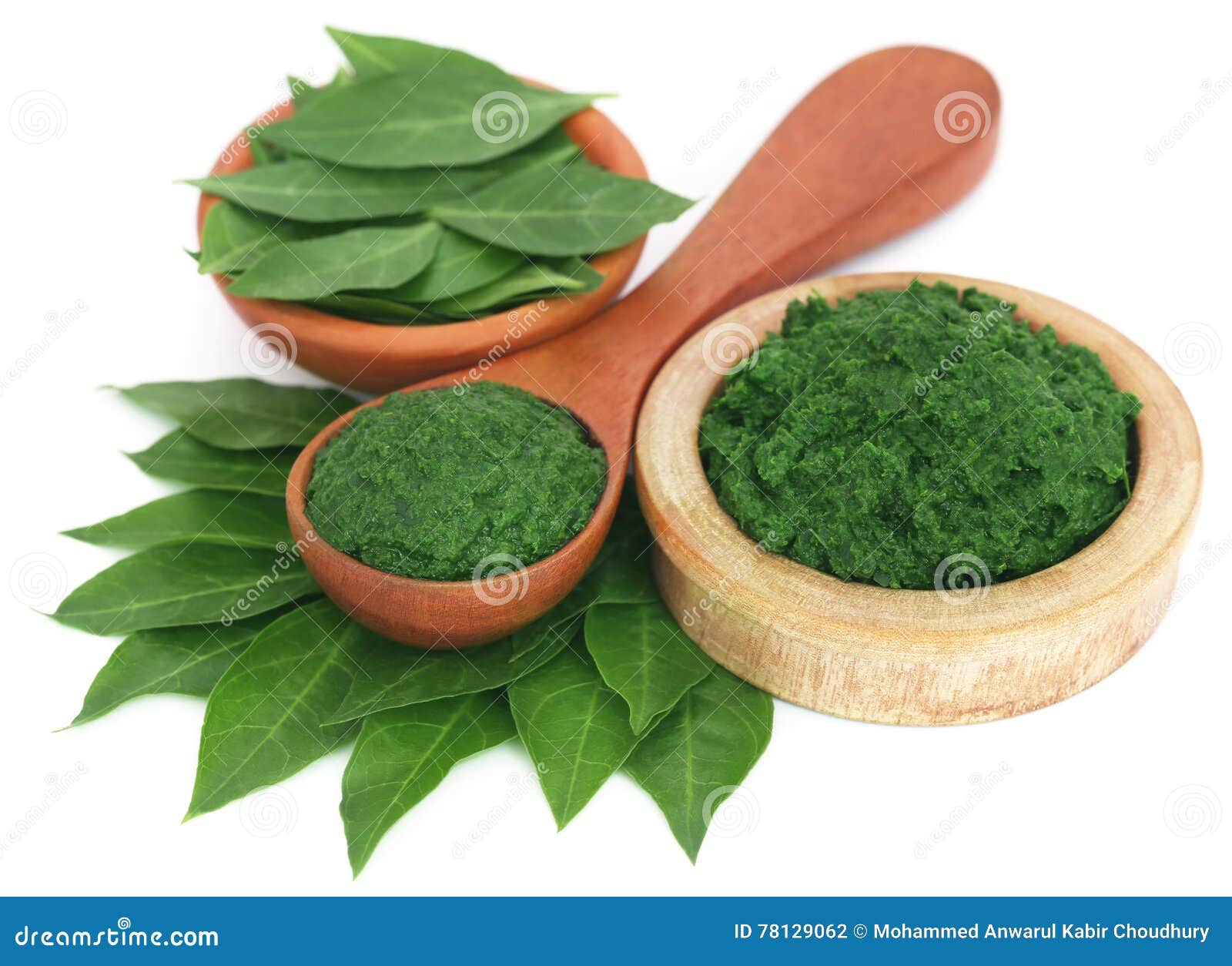 Ayurvedic Henna Leaves Mashed and Whole Stock Photo - Image of henna ...