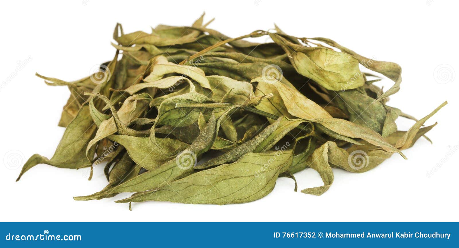 Ayurvedic Medicinal Chirata Stock Photo - Image of gentiana, remedy ...