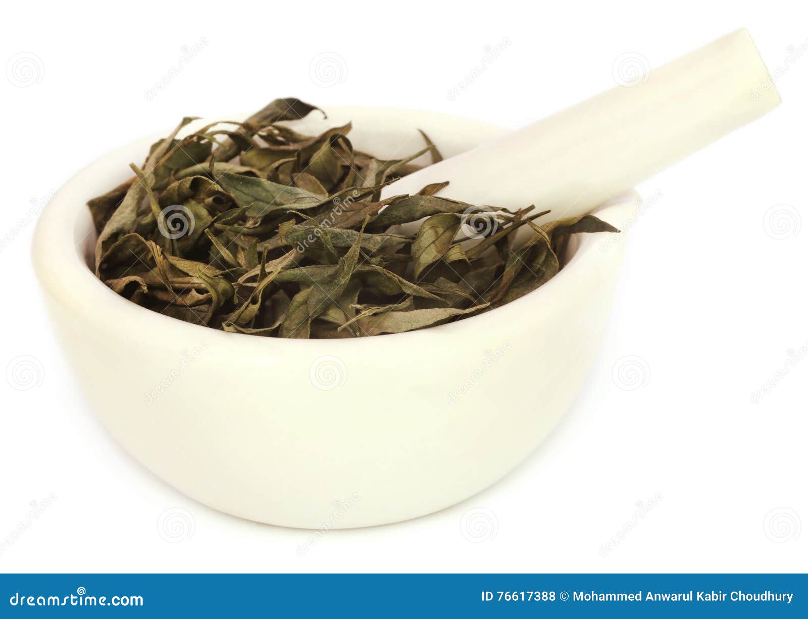 Ayurvedic Medicinal Chirata Stock Photo - Image of alternative ...