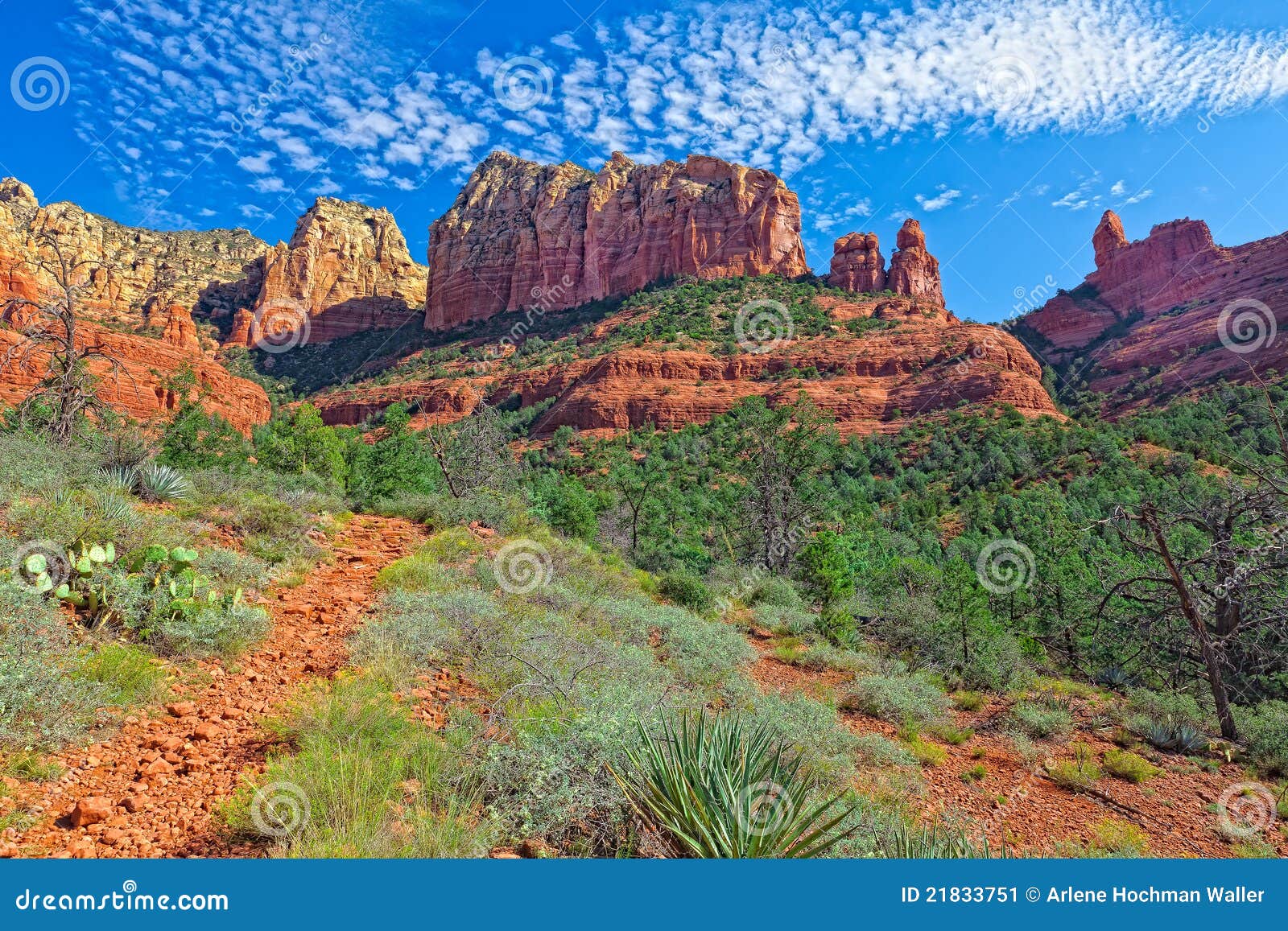 AZ-Jim Thompson Trail. stock image. Image of formations - 21833751