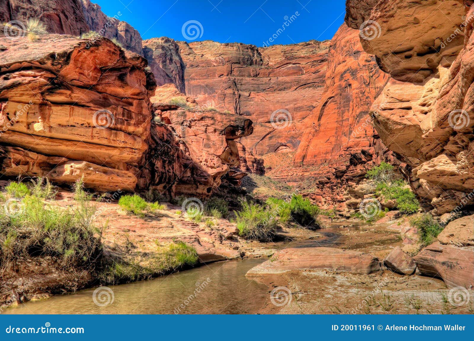 AZ- Paria Canyon Wilderness Stock Image - Image of arizona, ferry: 20011961