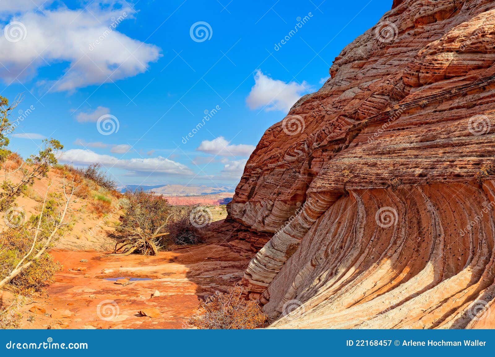 AZ-Paria Plateau-White Pocket Stock Image - Image of boulders ...