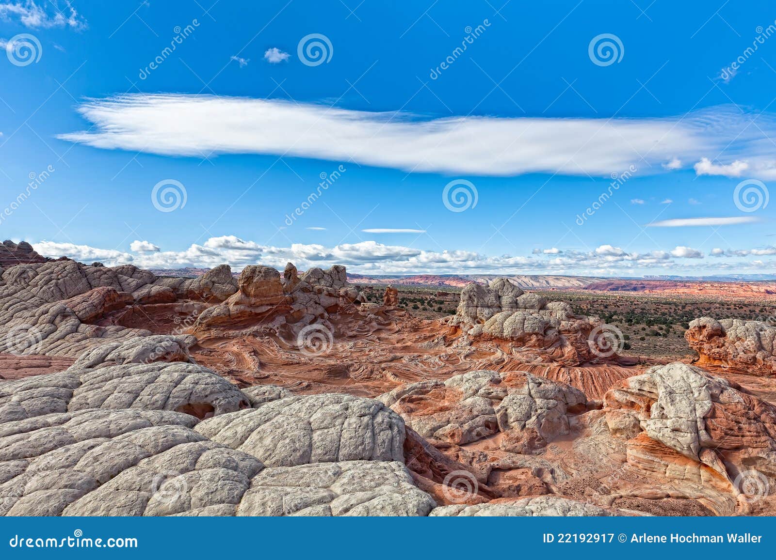 AZ-Paria Plateau-White Pocket Stock Image - Image of hiking, orange ...
