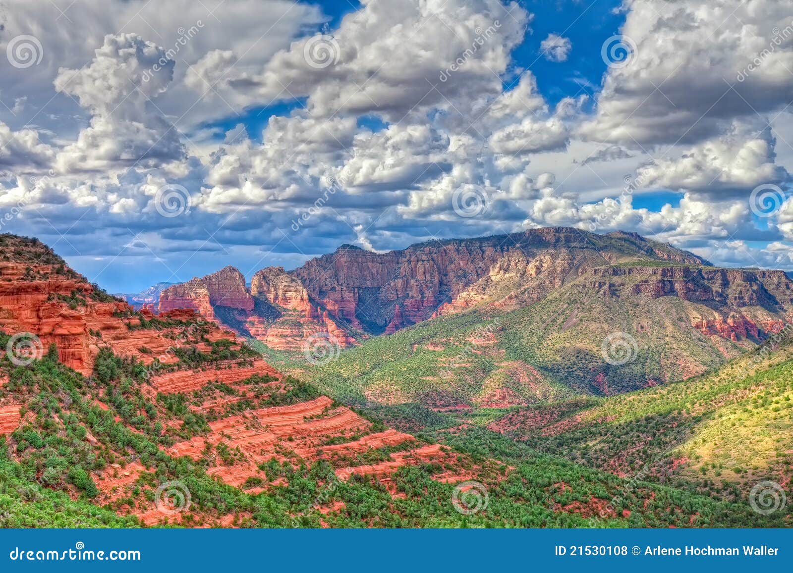AZ-Sedona-Schnebly Hill Rd- Stock Photo - Image of earth, cactus: 21530108