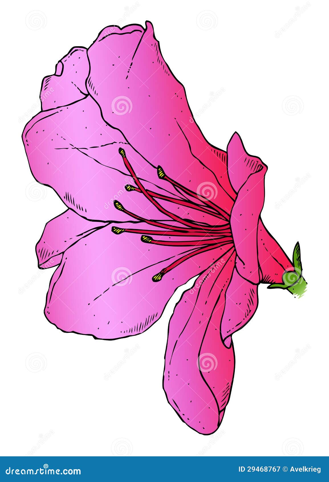 Azalea Cartoons, Illustrations & Vector Stock Images - 3966 Pictures to ...