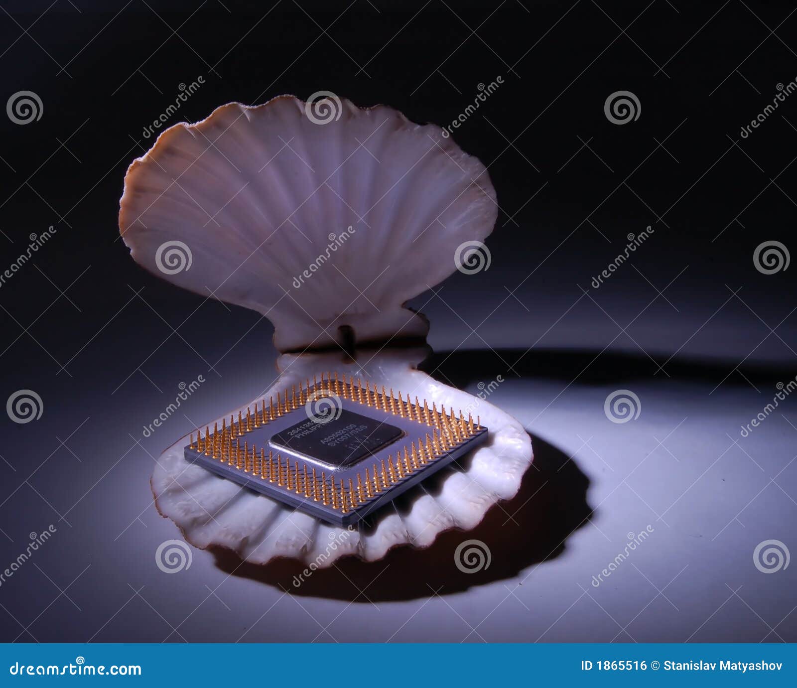 Azienda Di Trasformazione Sgranata Fotografia Stock - Immagine di ...