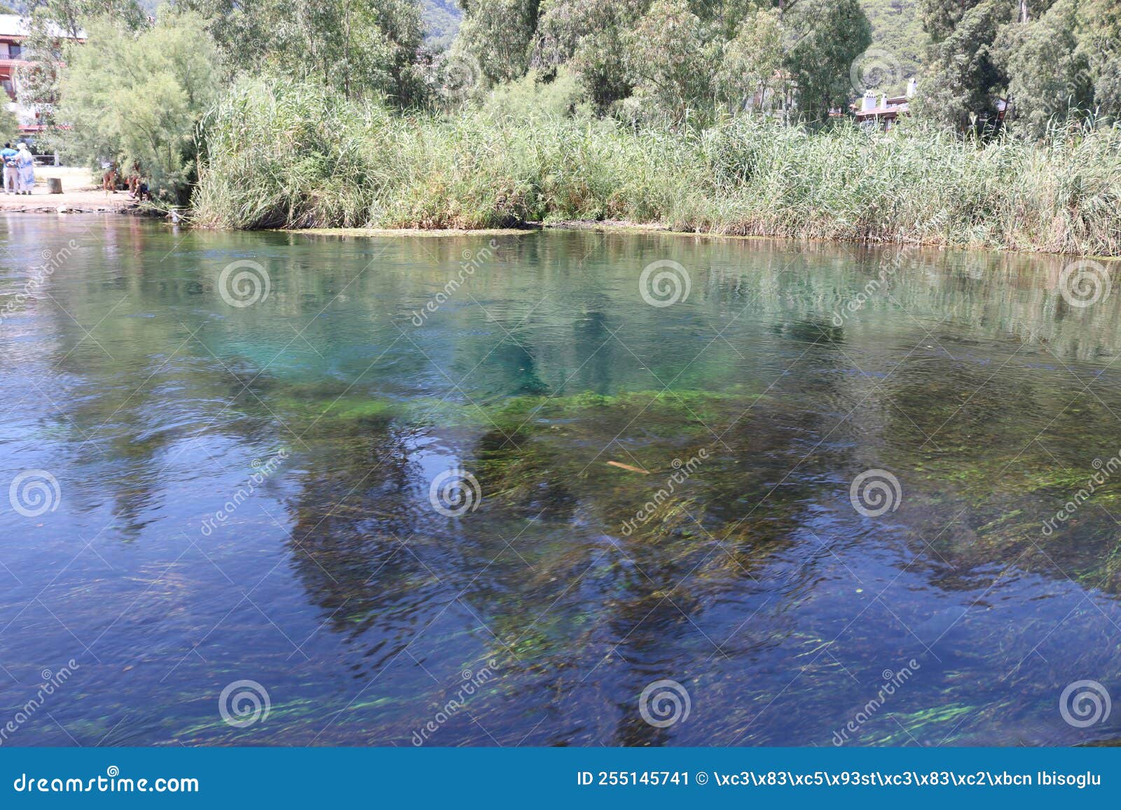 Azmak River in Akyaka District of Mugla. Stock Image - Image of ...