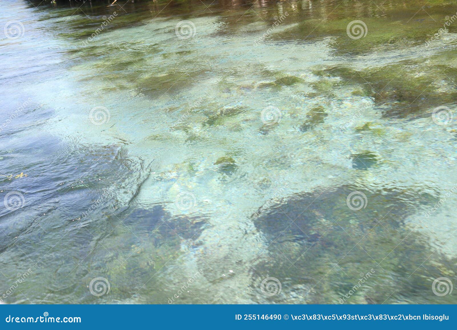 Azmak River in Akyaka District of Mugla. Stock Photo - Image of ...