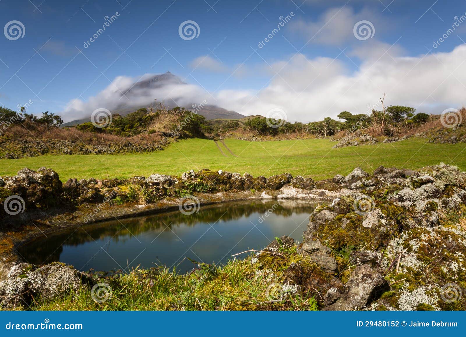 Azorean pastures stock photo. Image of atlantic, green - 29480152