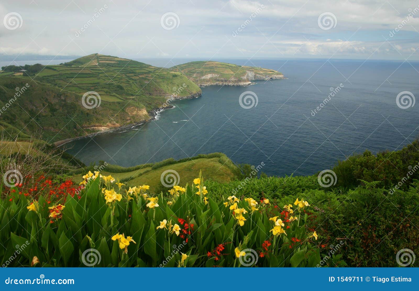 Azorean View stock image. Image of leaves, coast, fields - 1549711