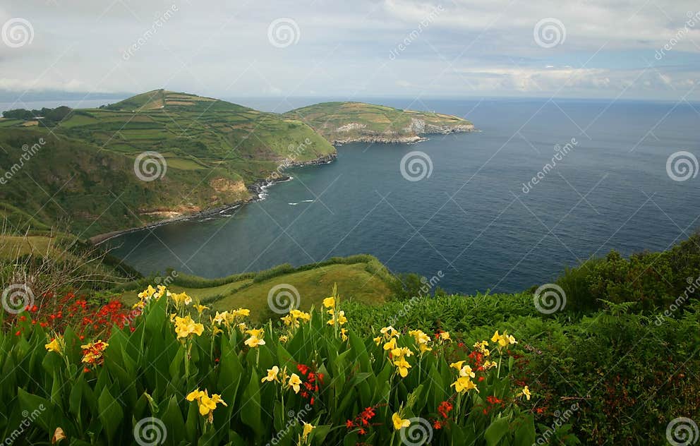 Azorean View stock image. Image of leaves, coast, fields - 1549711