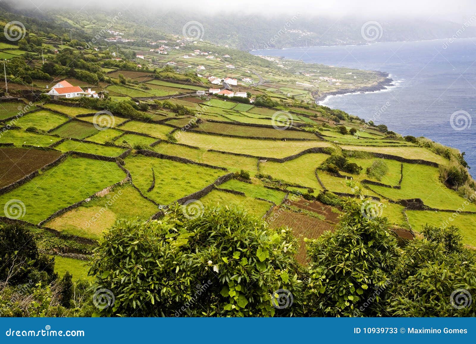 Azoren-Insel stockbild. Bild von stadt, grün, horizont - 10939733