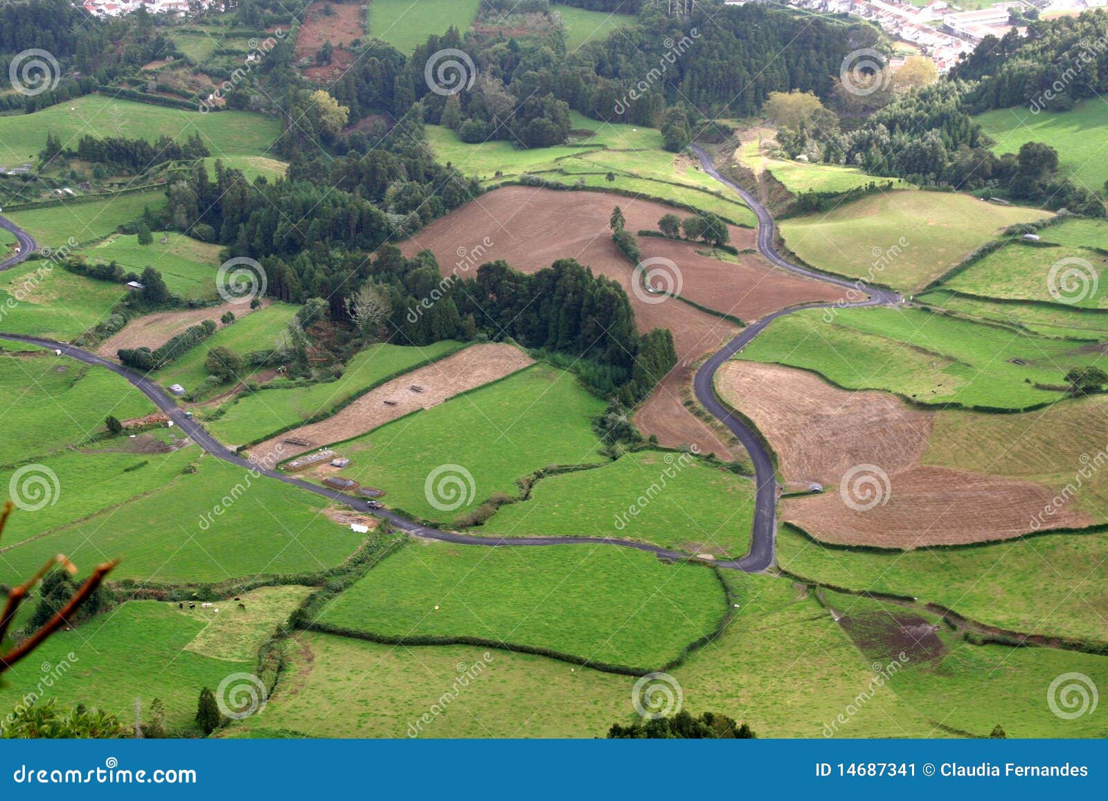 Azores stock image. Image of rural, lonely, meadows, environment - 14687341