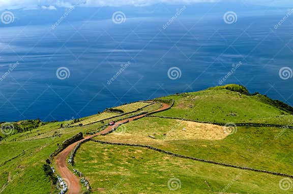 Azores stock photo. Image of flowers, grass, green, field - 2458376