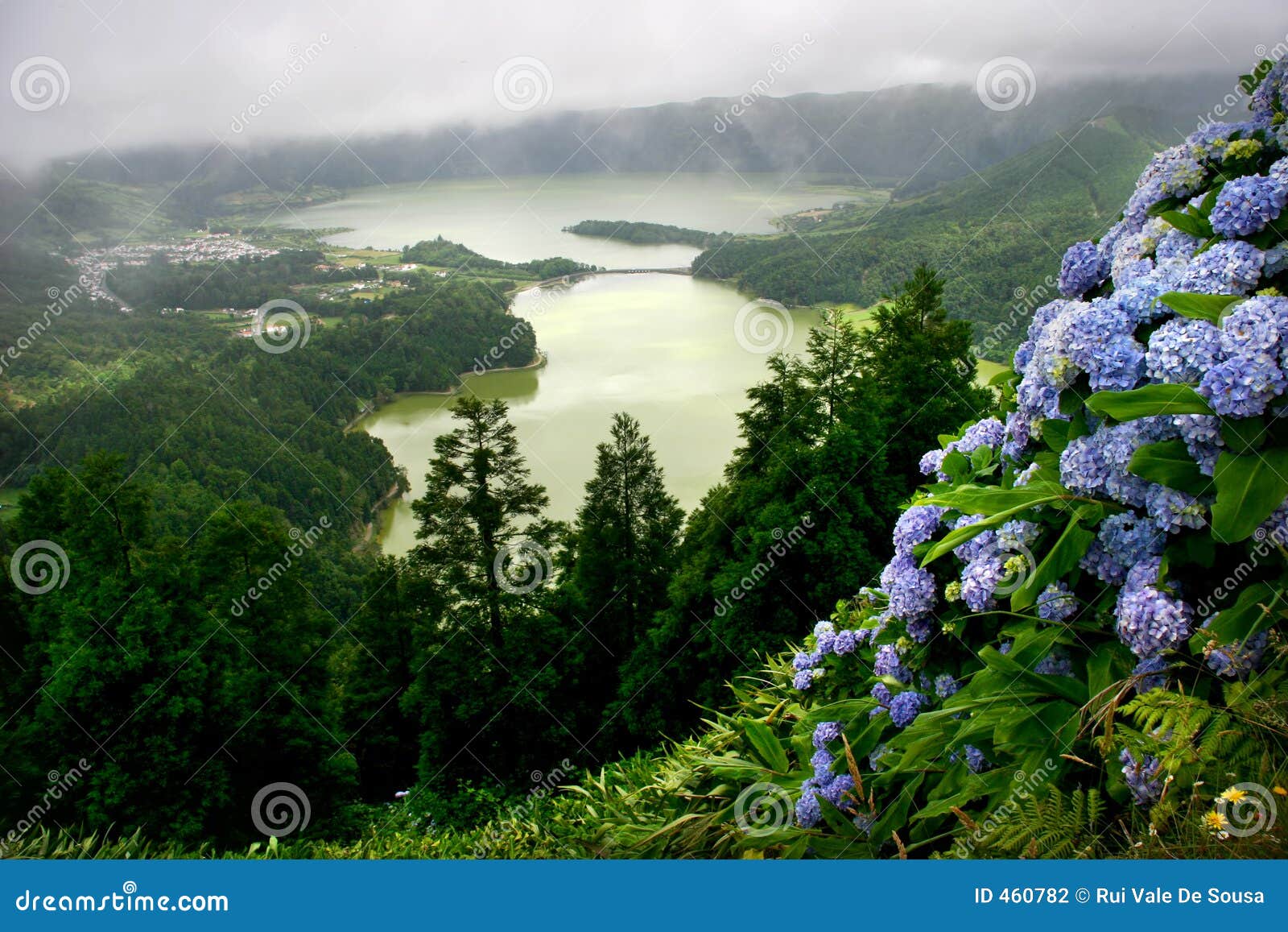 Azores stock photo. Image of pure, trees, natural, plants - 460782