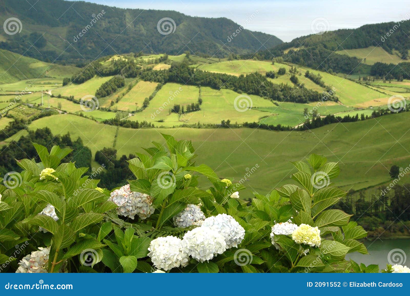Azores Island landscape stock photo. Image of rural, july - 2091552