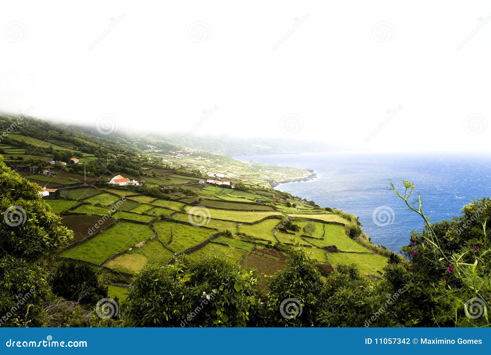 Azores Island - Portugal stock photo. Image of coast - 11057342