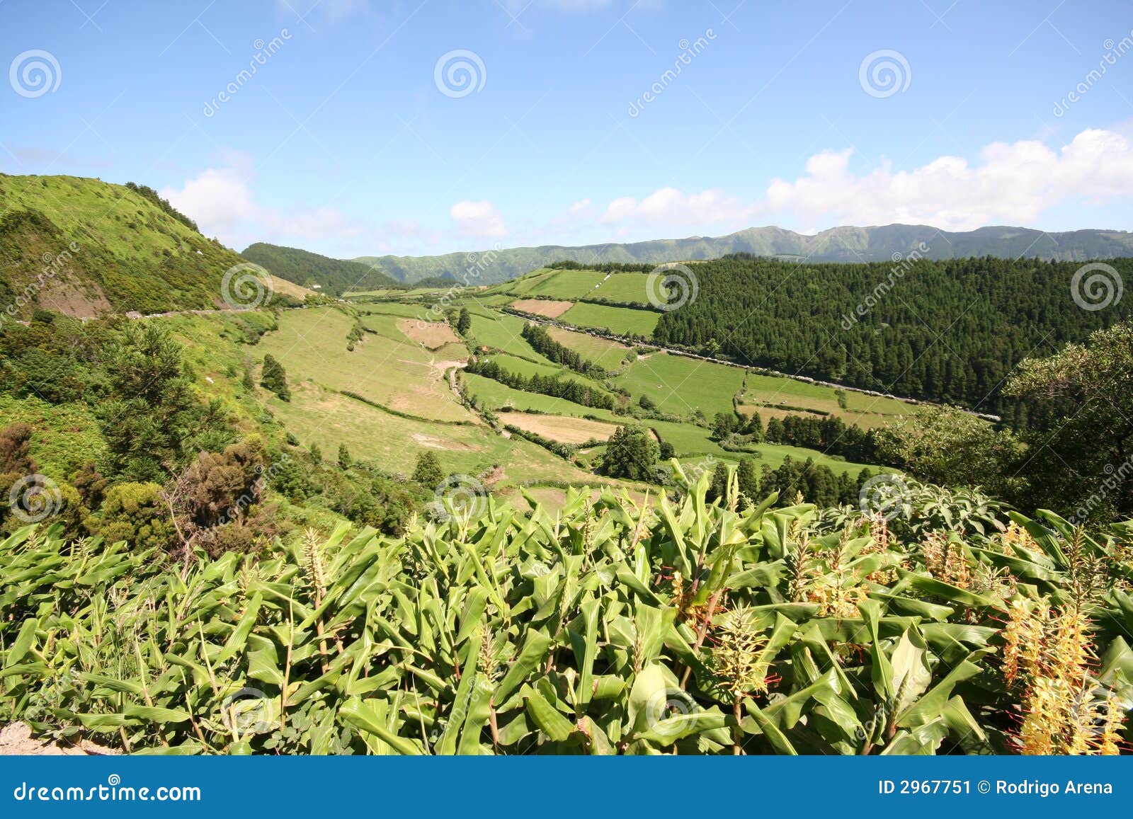 Azores Landscape stock image. Image of earthquake, saint - 2967751