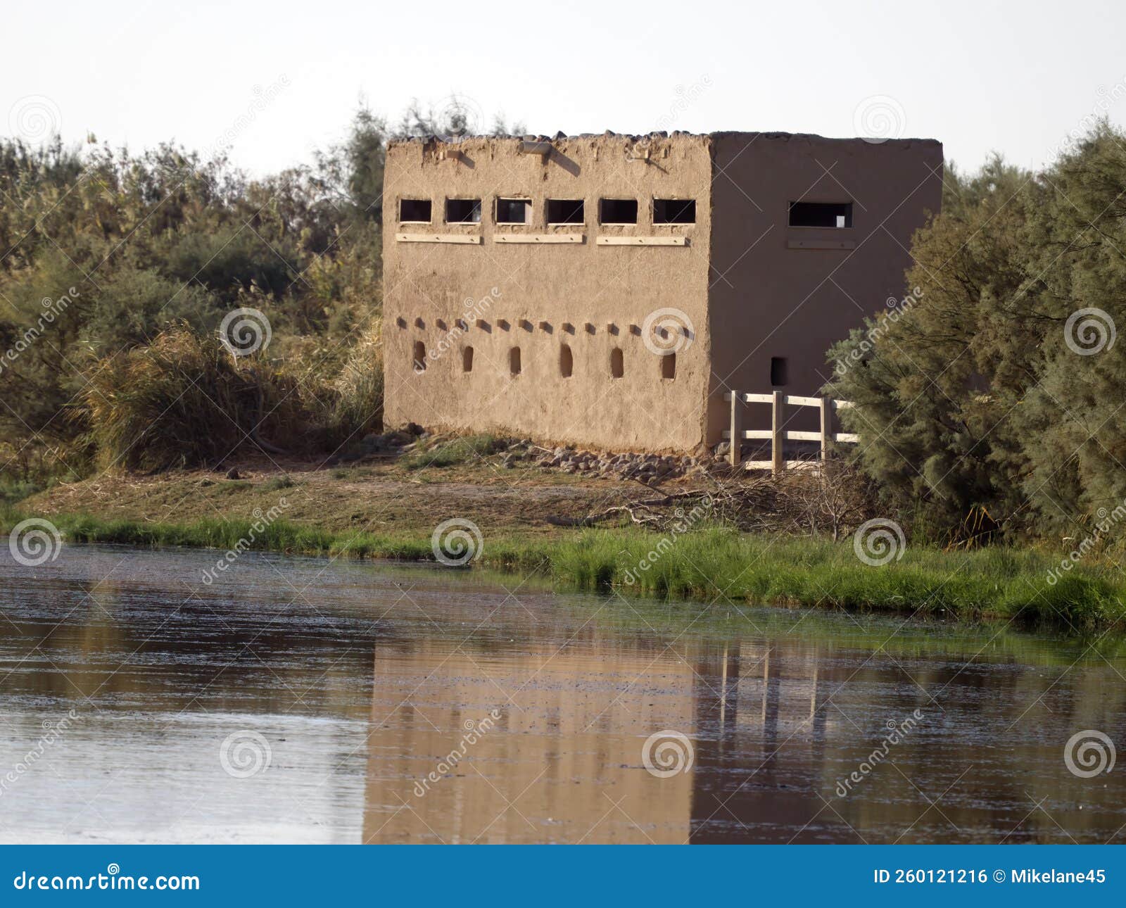 Azraq Wetland Reserve, Jordan Stock Image | CartoonDealer.com #260121097