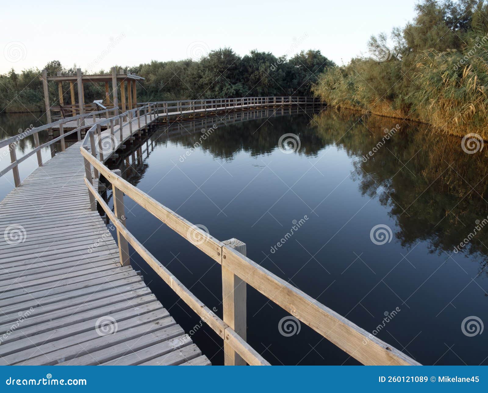 Azraq Wetland Reserve, Jordan Stock Image - Image of nature, water ...