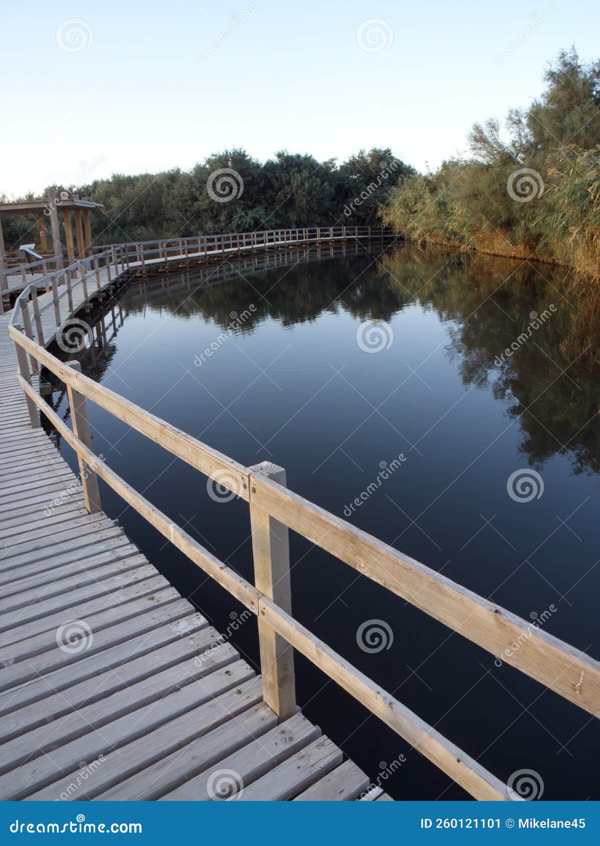 Azraq Wetland Reserve, Jordan Stock Image - Image of birds, wetland ...