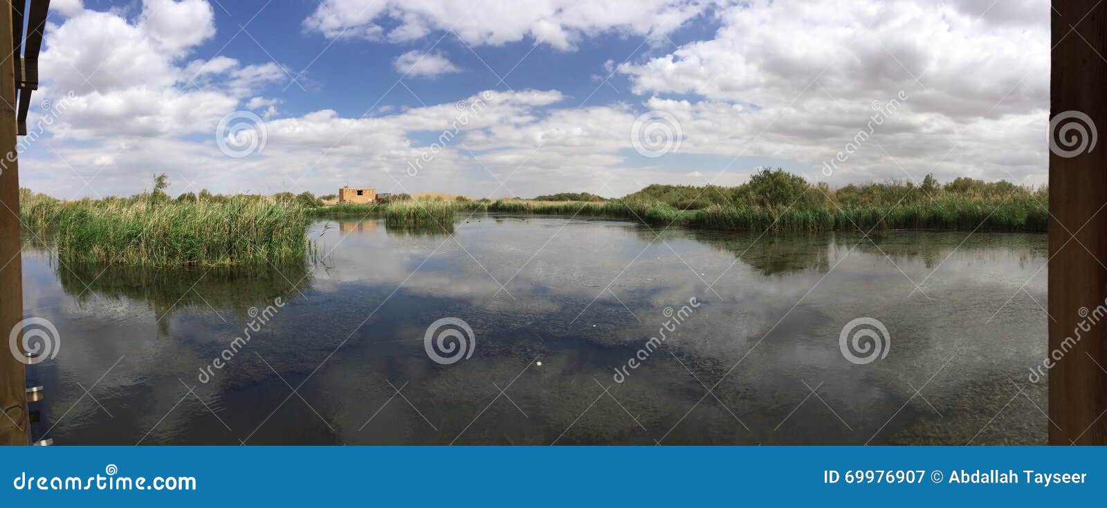 Azraq wetlands reserve stock image. Image of jordan, desert - 69976907