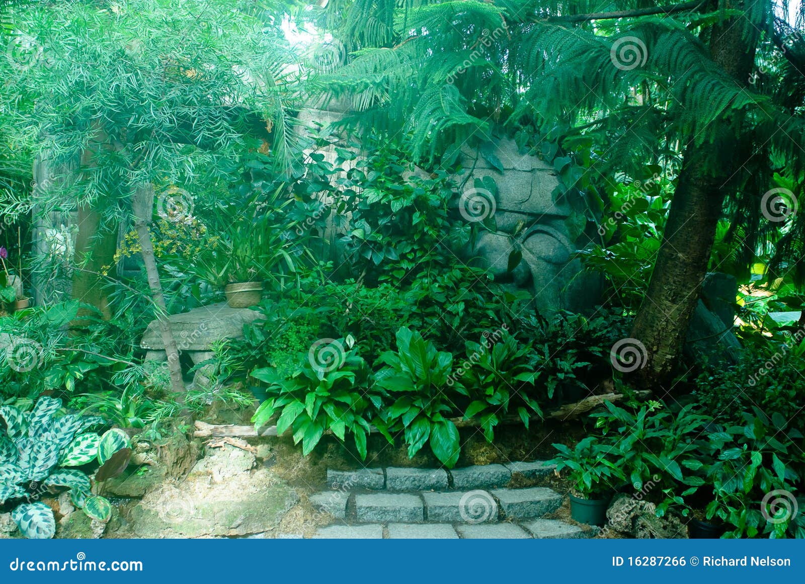 Aztec Ruins stock photo. Image of mayan, head, mexico - 16287266
