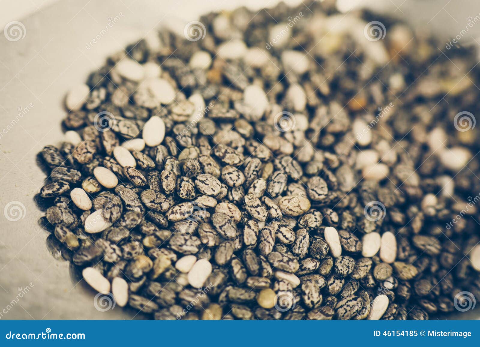 Azteca Chia Seeds imagen de archivo. Imagen de salud - 46154185