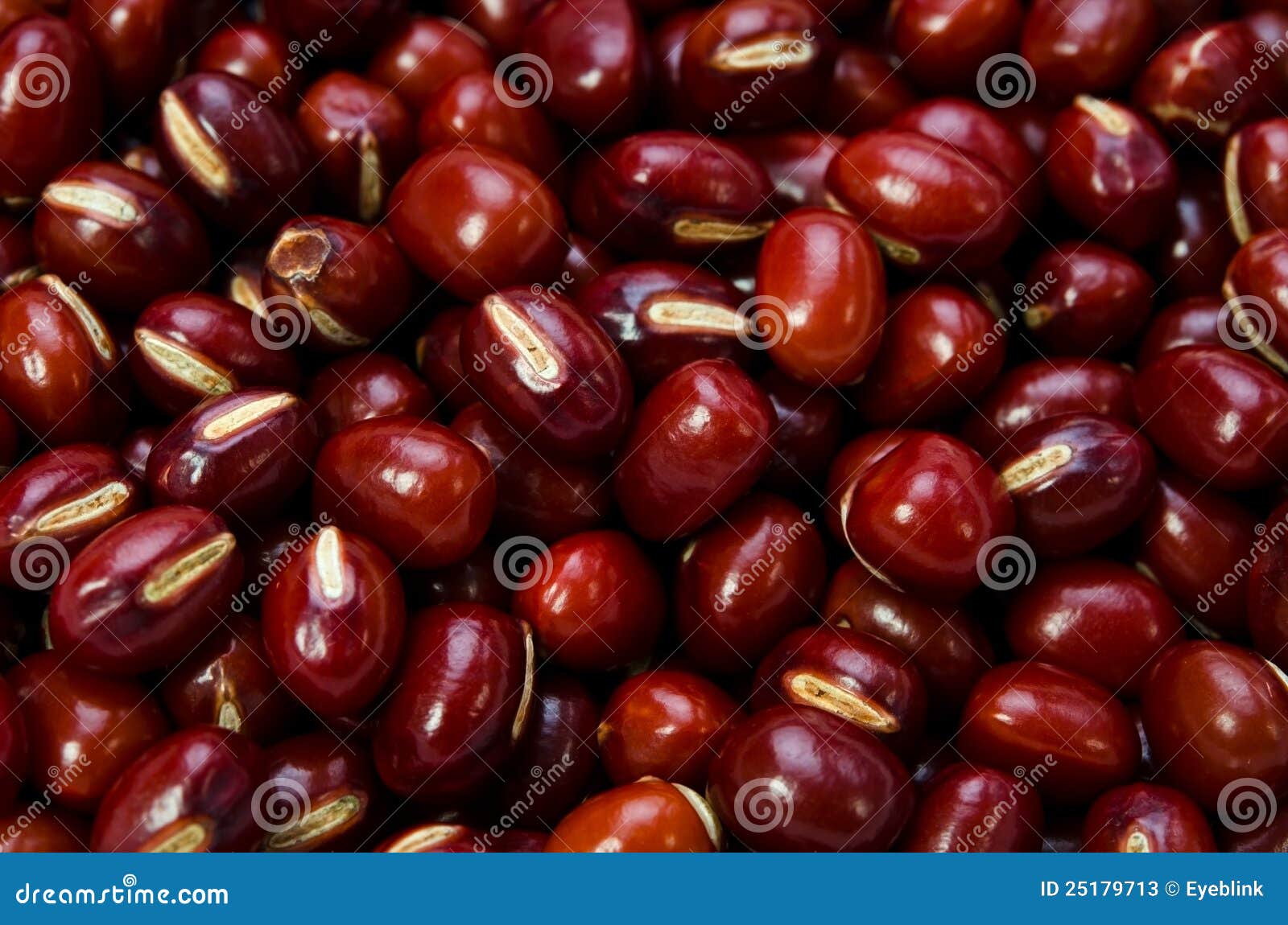 Azuki bean stock image. Image of grain, adzuki, cereal - 25179713
