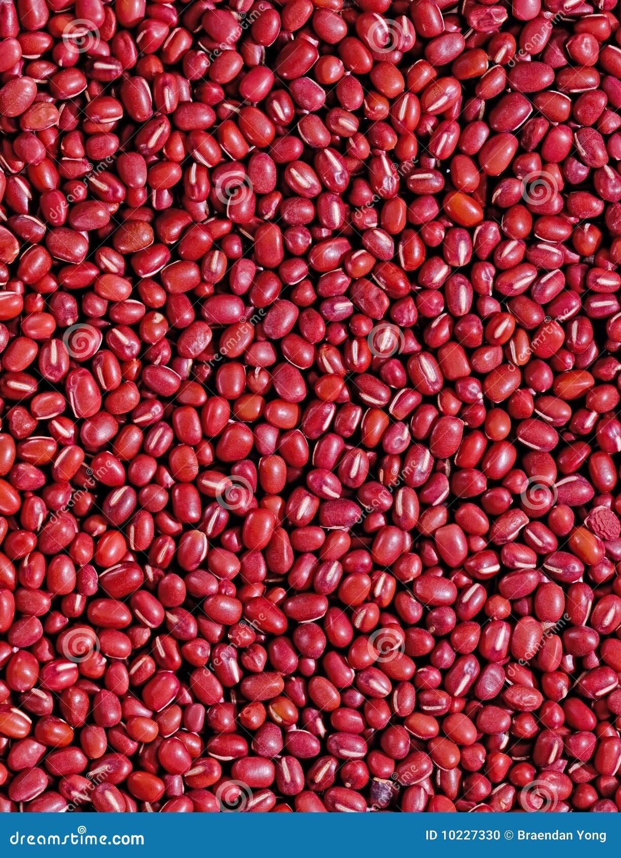 Azuki beans 1 stock photo. Image of asian, cuisine, nutritious - 10227330
