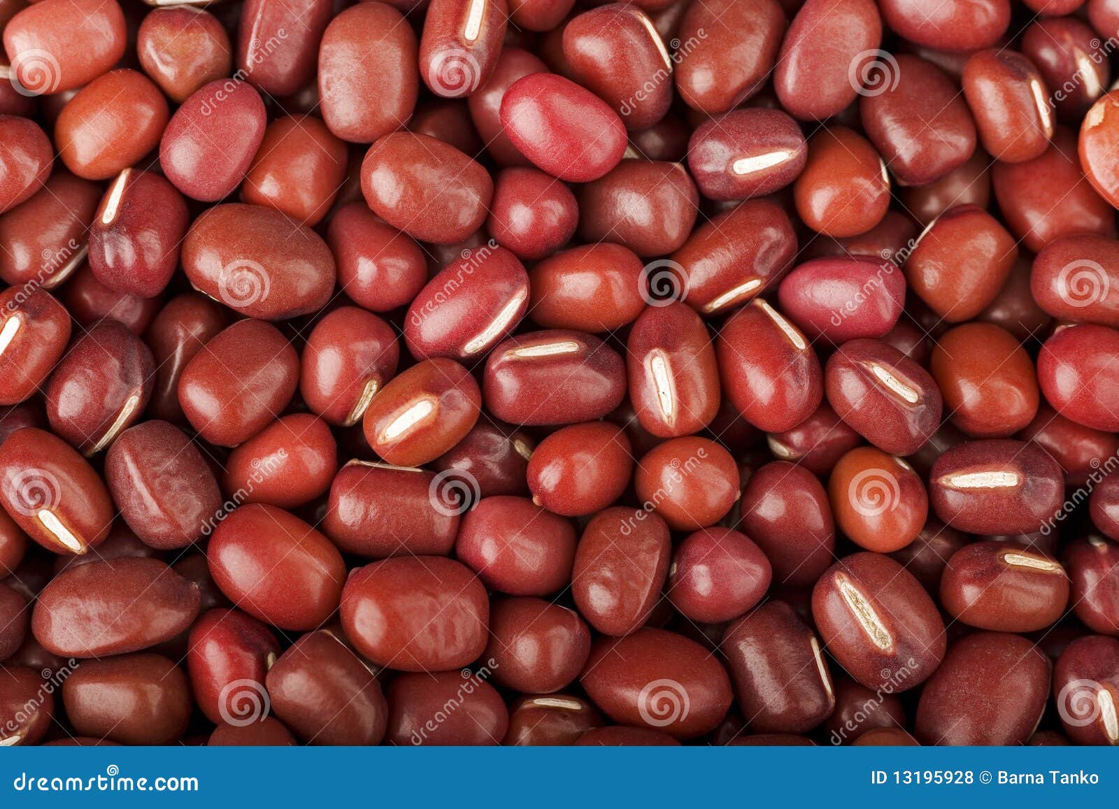 Azuki beans stock photo. Image of closeup, azuki, boil - 13195928