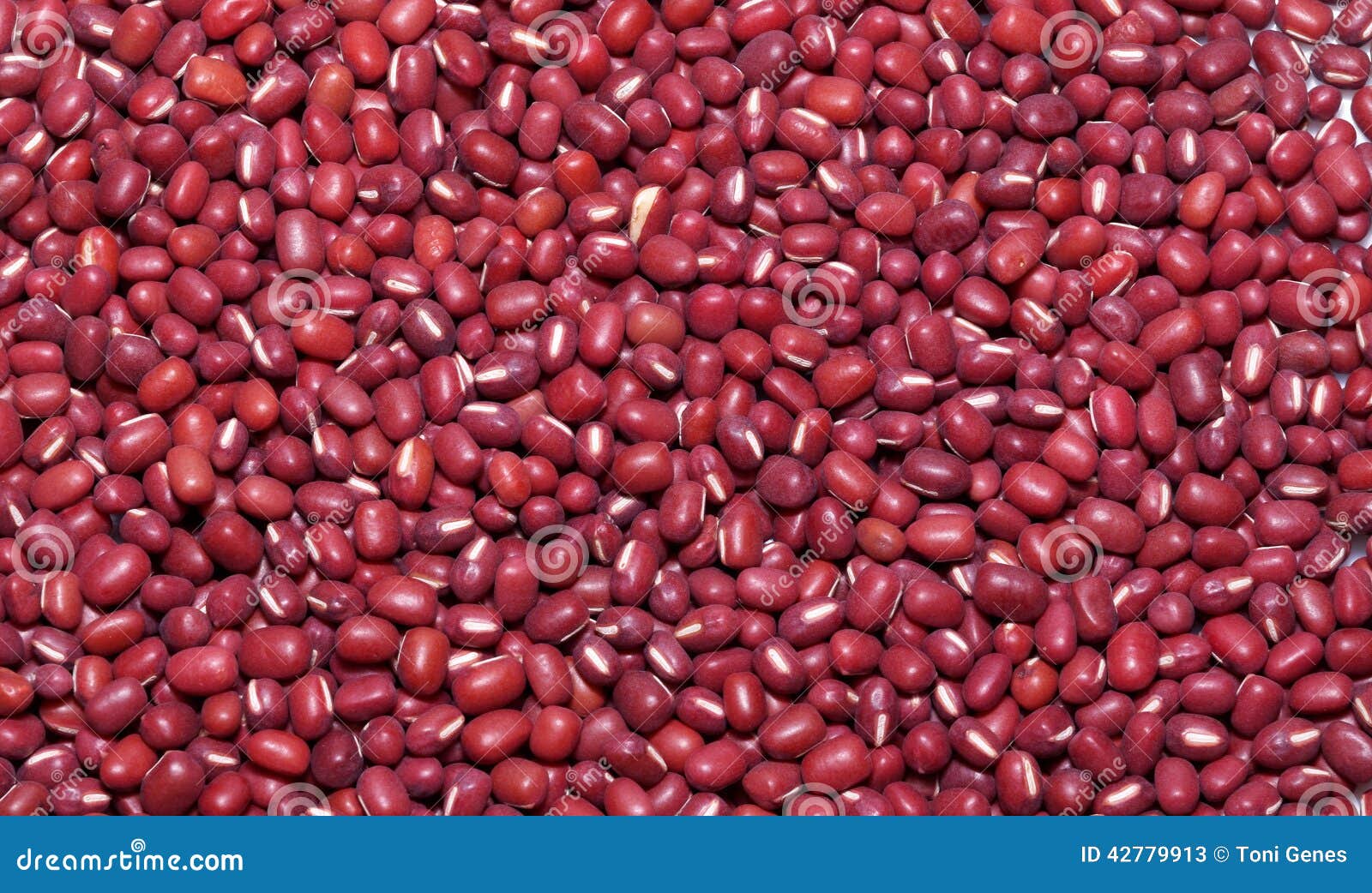 Azuki beans stock image. Image of carbohydrates, cuisine - 42779913