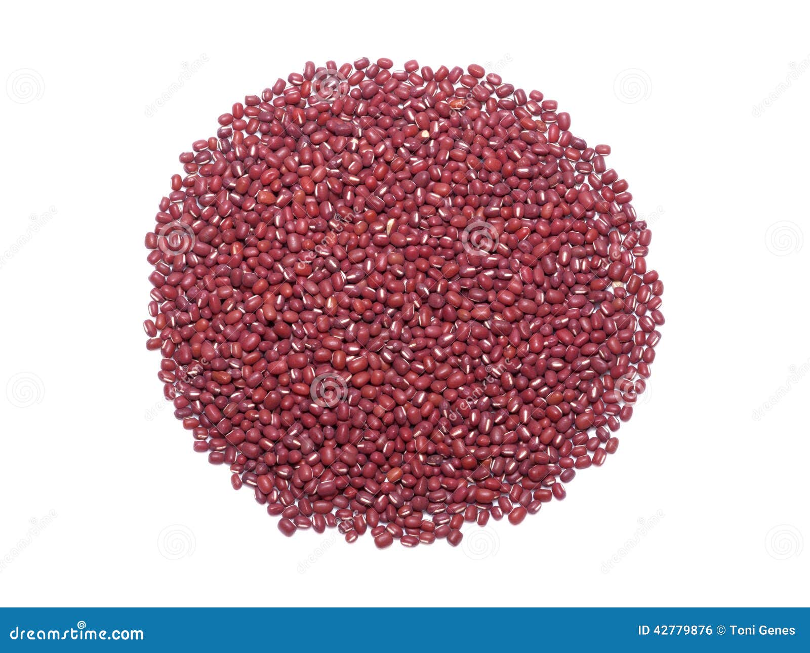 Azuki beans stock photo. Image of aduki, colors, colored - 42779876