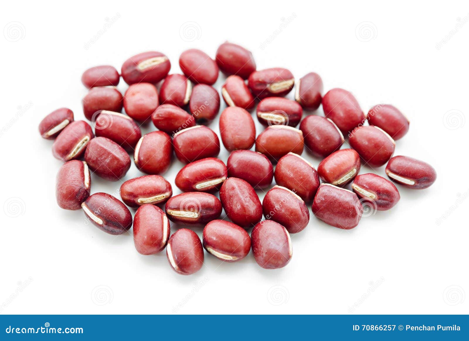 Azuki beans , red beans stock image. Image of legume - 70866257
