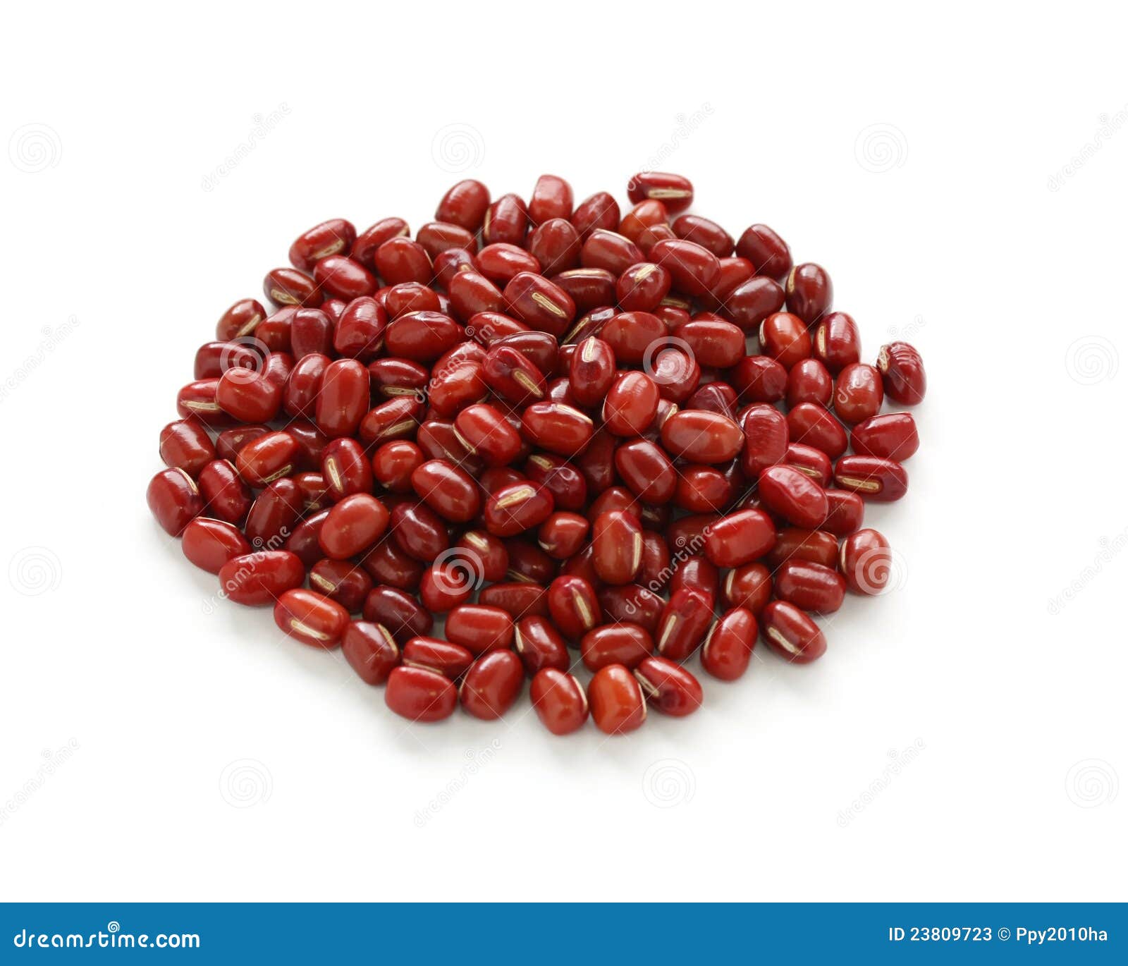 Azuki Bohnen, rote Bohnen stockbild. Bild von asien, landwirtschaft ...