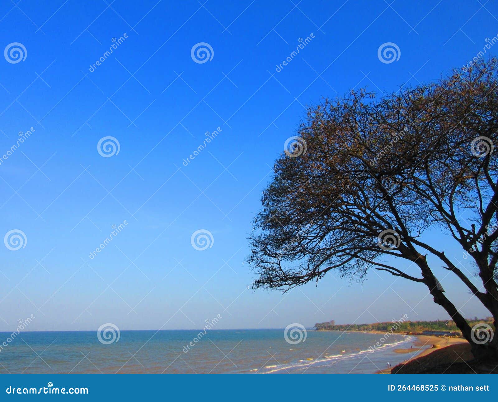 Azul imagem de stock. Imagem de java, praia, leste, azul - 264468525