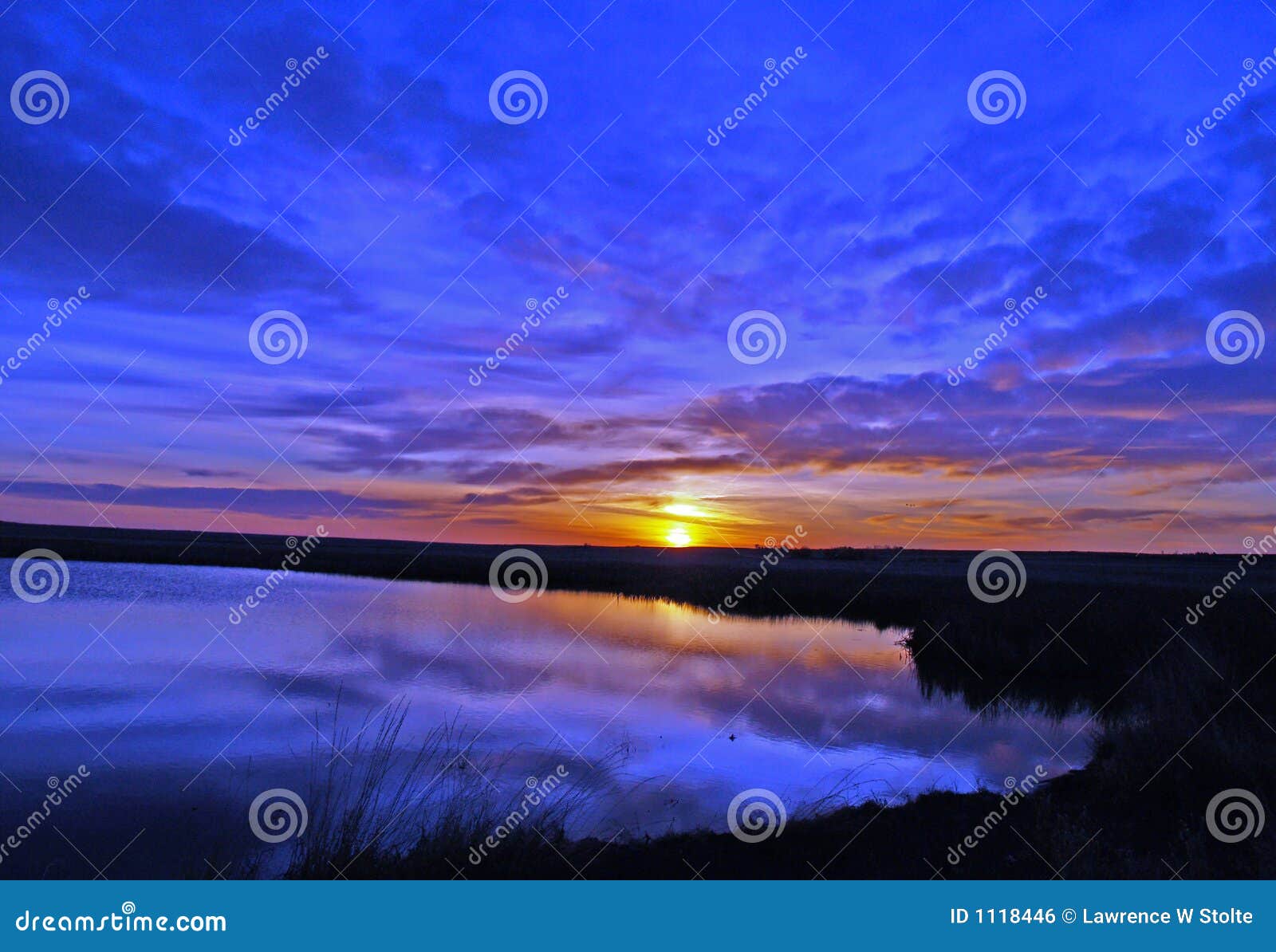 Azules De La Salida Del Sol Foto de archivo - Imagen de pantano ...