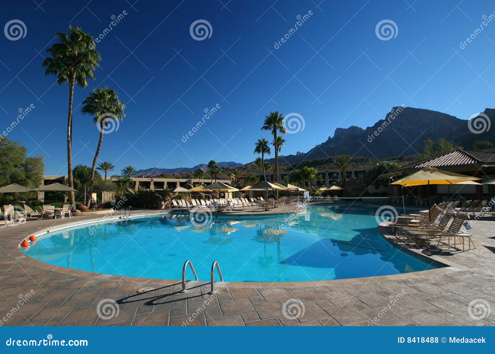 Azure Blue Swimming Pool with Palm Stock Photo - Image of relax, luxury ...