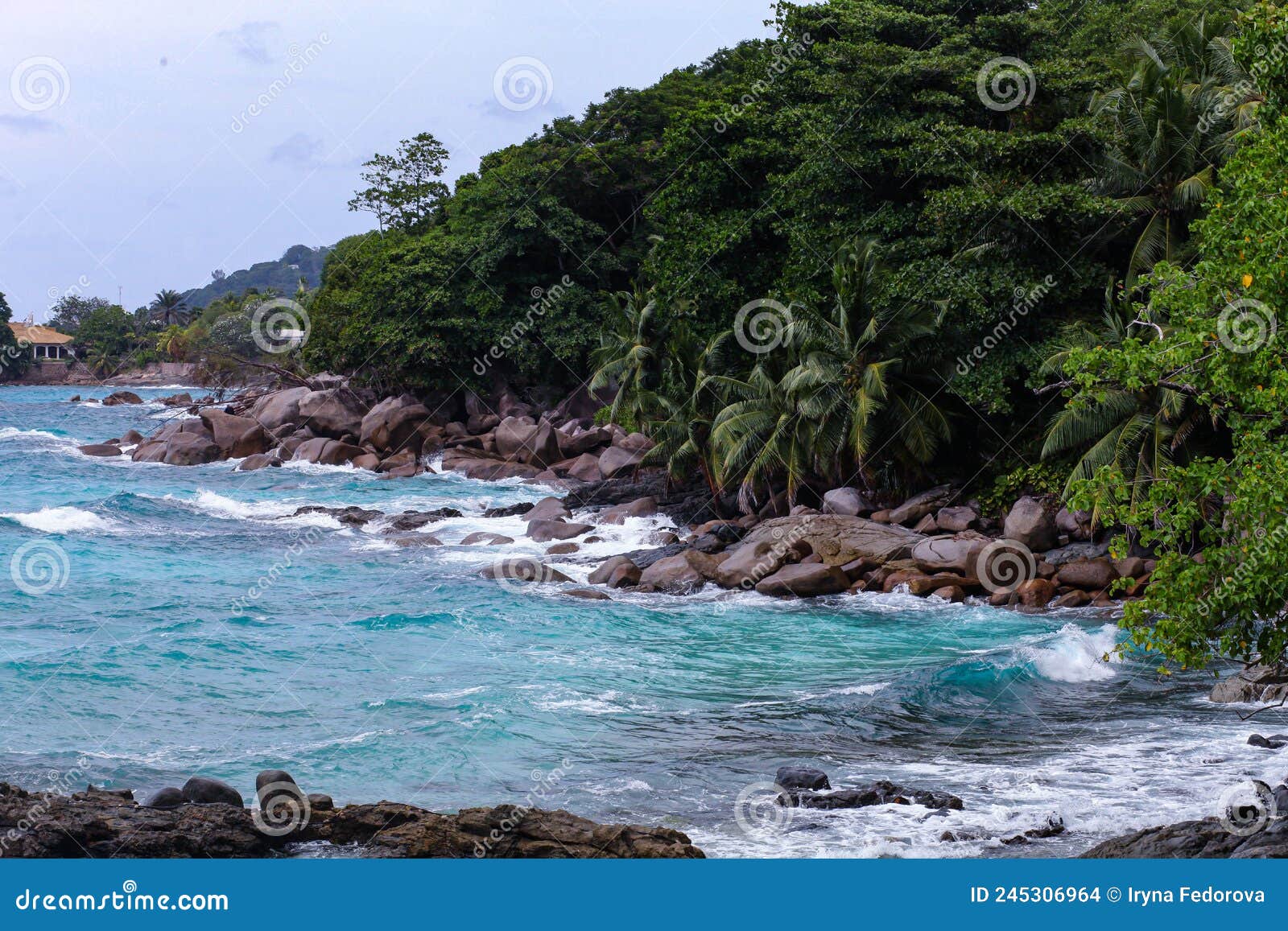Azure coast of the ocean. stock photo. Image of nature - 245306964