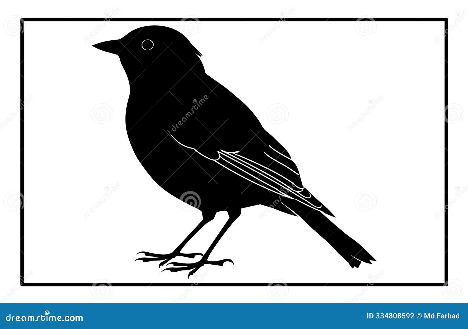 Azure Dollar Bird Silhouette, Azure Dollar Bird Hand Drawing Vector ...