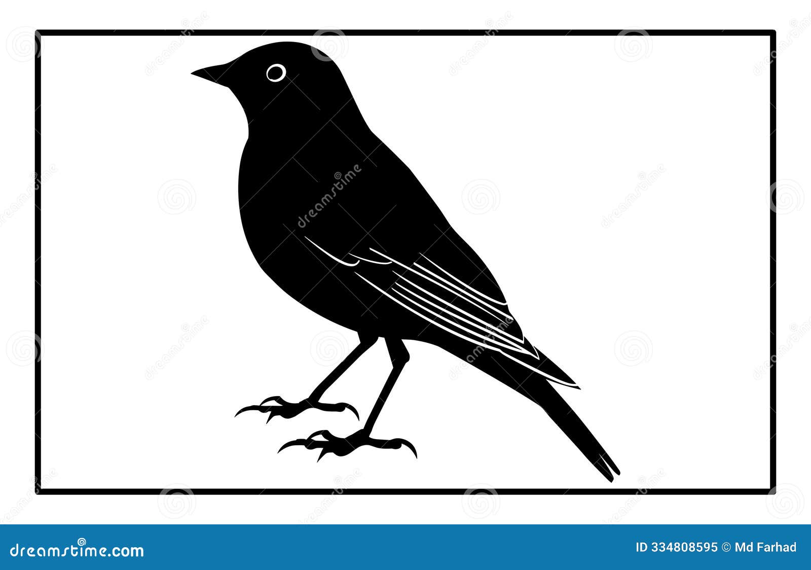 Azure Dollar Bird Silhouette, Azure Dollar Bird Hand Drawing Stock ...