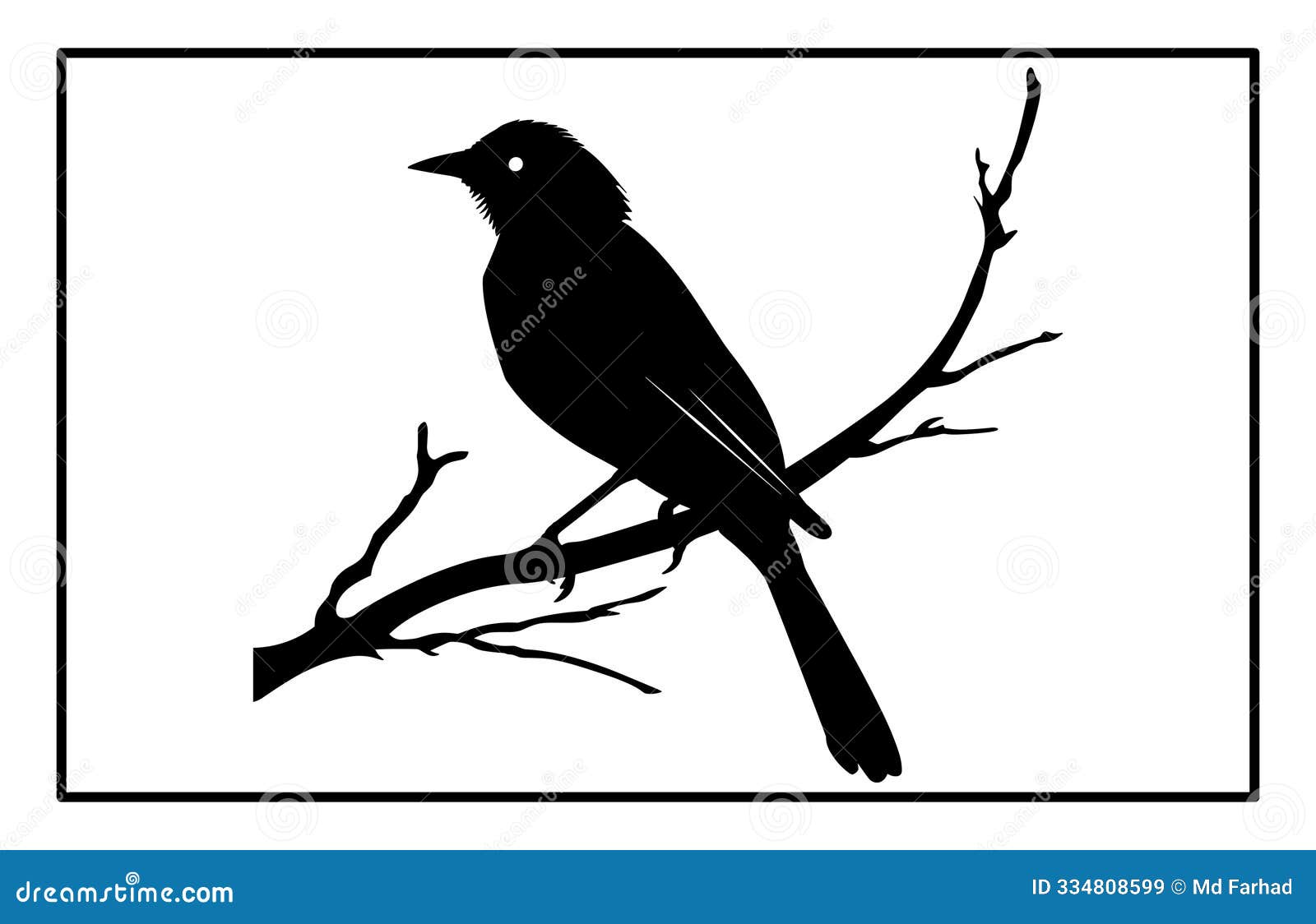 Azure Dollar Bird Silhouette, Azure Dollar Bird Hand Drawing Cartoon ...