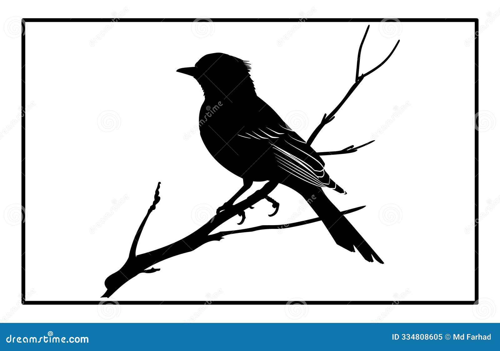 Azure Dollar Bird Silhouette, Azure Dollar Bird Hand Drawing Cartoon ...