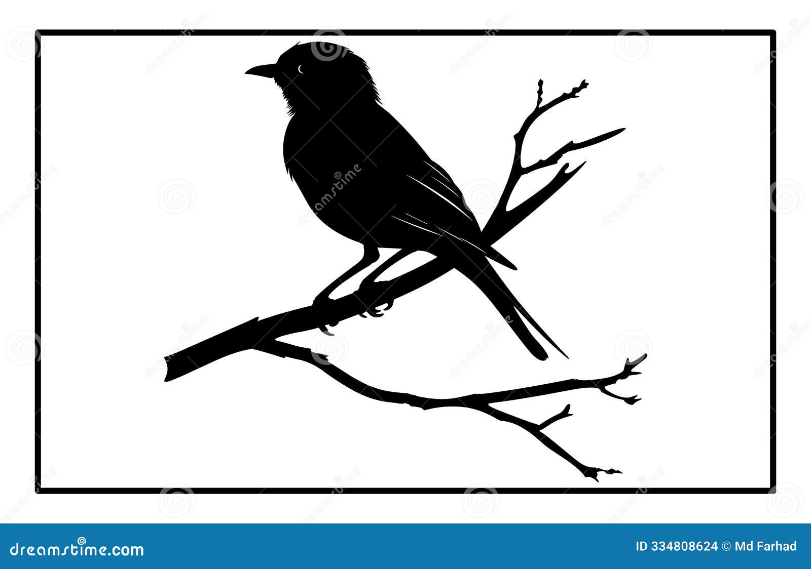 Azure Dollar Bird Silhouette, Azure Dollar Bird Hand Drawing Vector ...