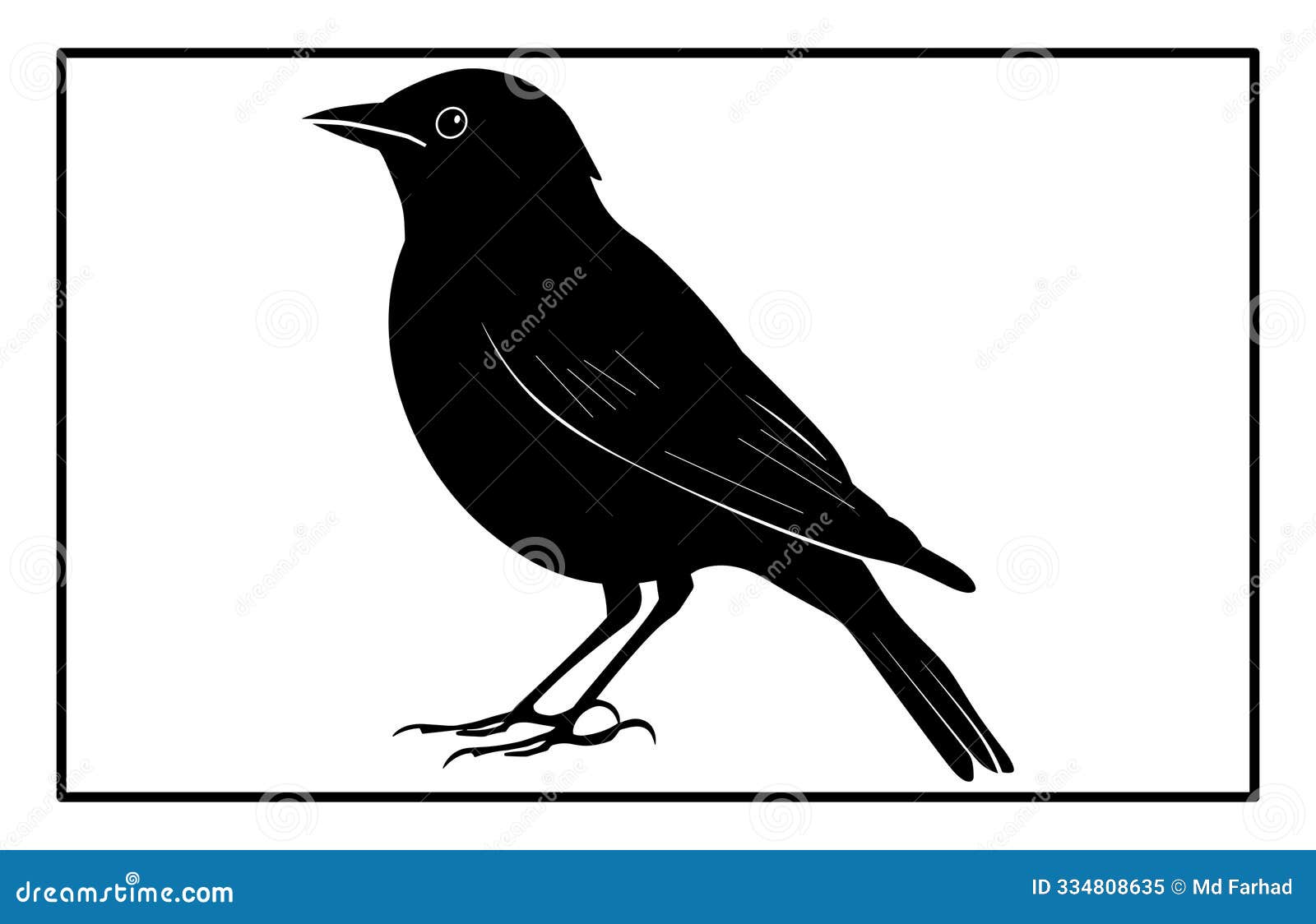 Azure Dollar Bird Silhouette, Azure Dollar Bird Hand Drawing Cartoon ...