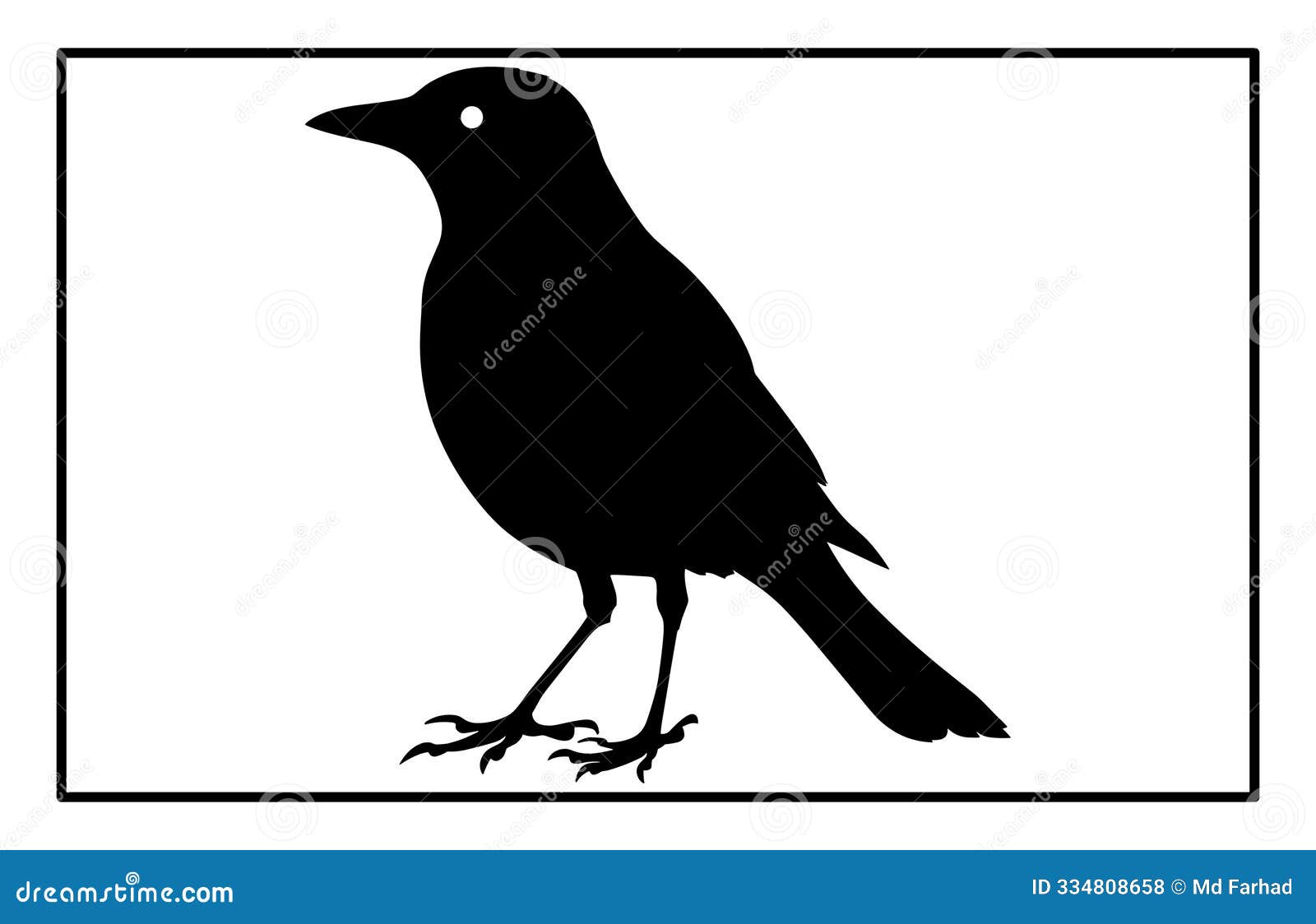 Azure Dollar Bird Silhouette, Azure Dollar Bird Hand Drawing Stock ...