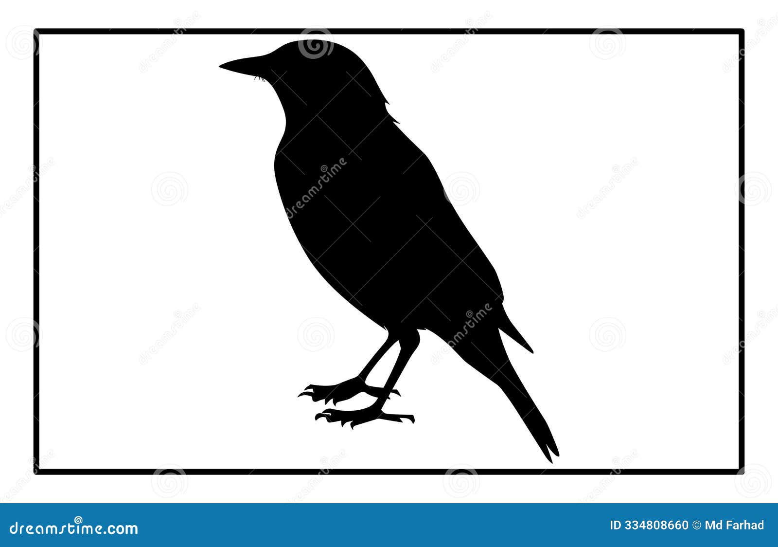 Azure Dollar Bird Silhouette, Azure Dollar Bird Hand Drawing Stock ...